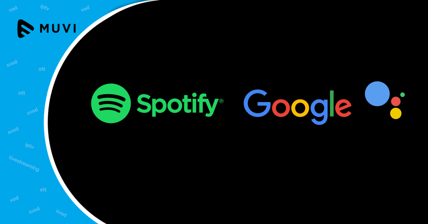 Why Is Spotify Not Working On Roku Farlke