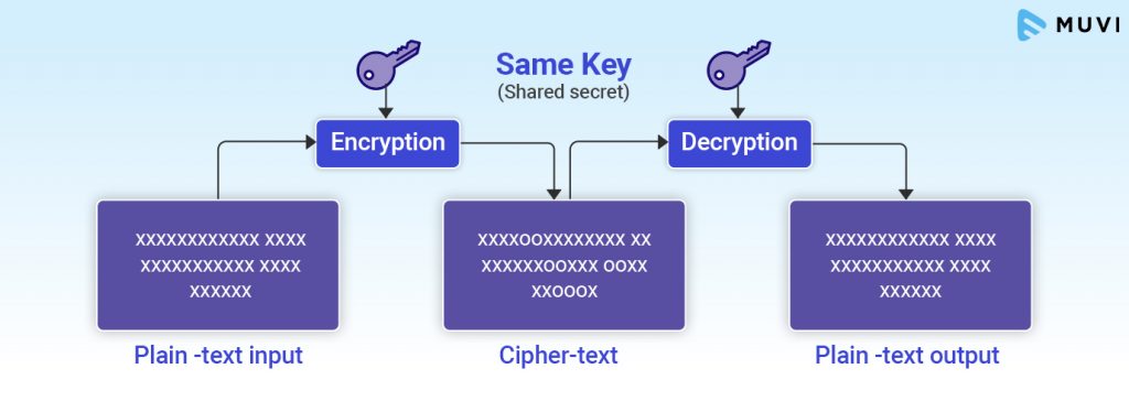 What is Encrypted Video Streaming & How it Works? - Muvi One