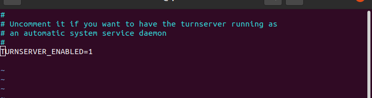 Setup your own CoTurn Server using EC2 - Muvi One