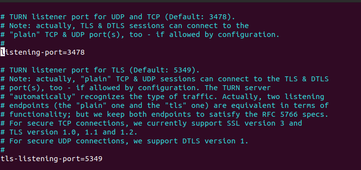 Setup your own CoTurn Server using EC2 - Muvi One