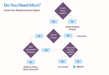 How to Choose The Best Video Streaming Platform (Checklist + Decision ...