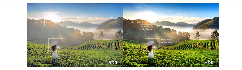 HDR vs SDR: Everything you Need to Know - Muvi One